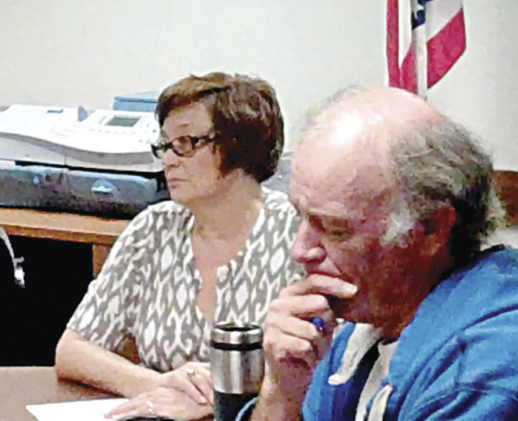 Democratic Party Chair Confronted Over Website | Geauga County Maple Leaf