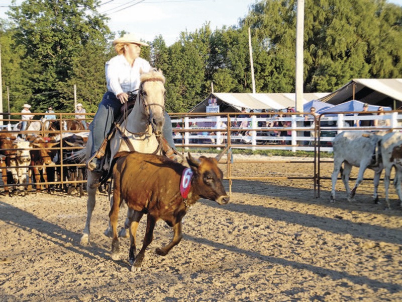 Fair Team Sorting, Penning Competition Draws 150 Riders | Geauga County ...