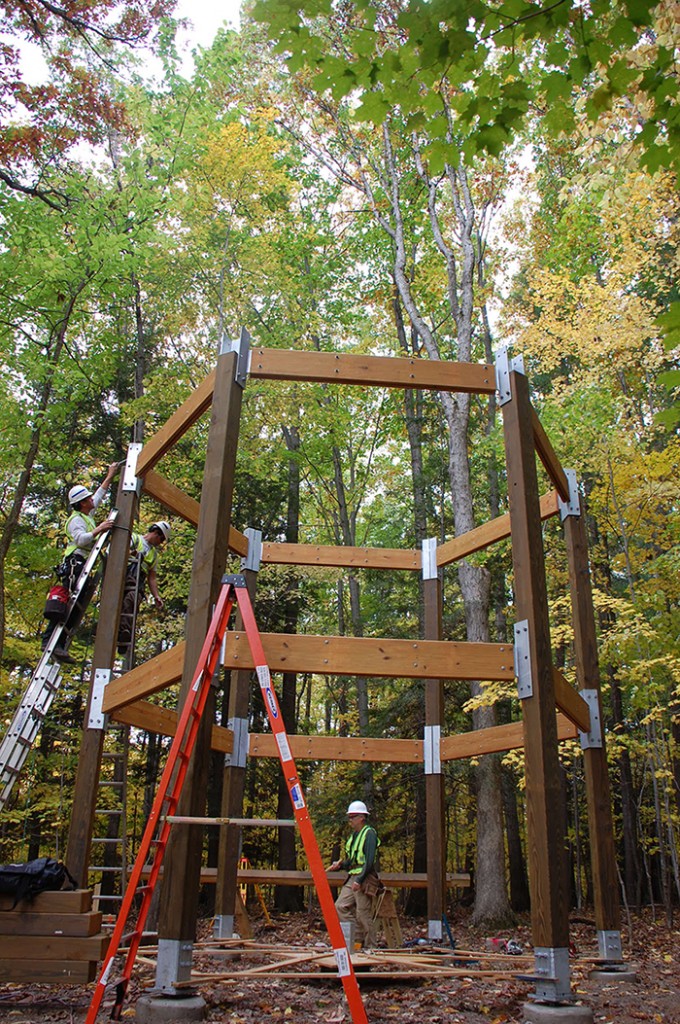 Observation Tower at Holden Arboretum Growing Toward the Canopy ...