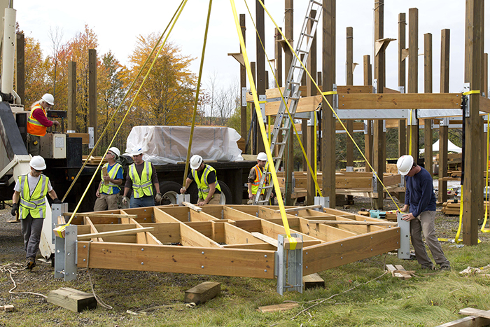 Observation Tower at Holden Arboretum Growing Toward the Canopy ...