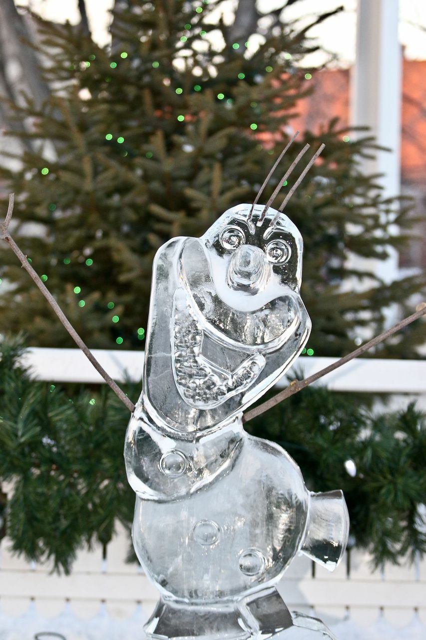 2015 Chardon WinterFest Finally Gets Snow | Geauga County Maple Leaf