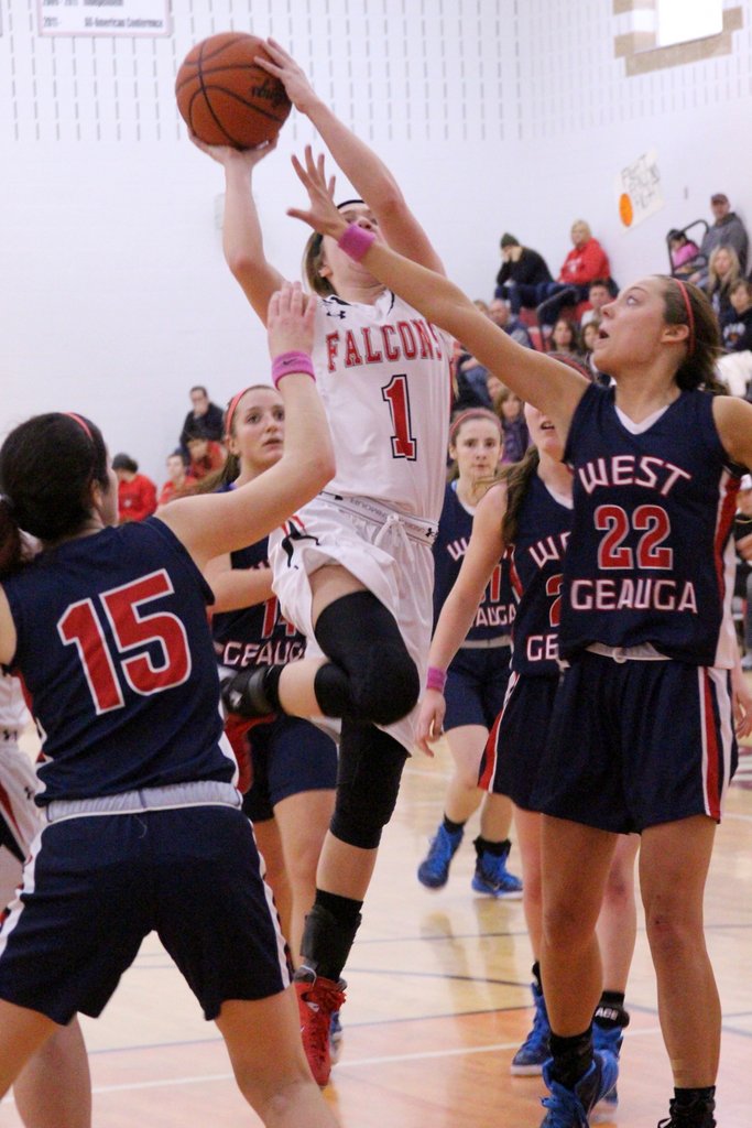 Sour Start Dooms Wolverines | Geauga County Maple LeafGeauga County ...
