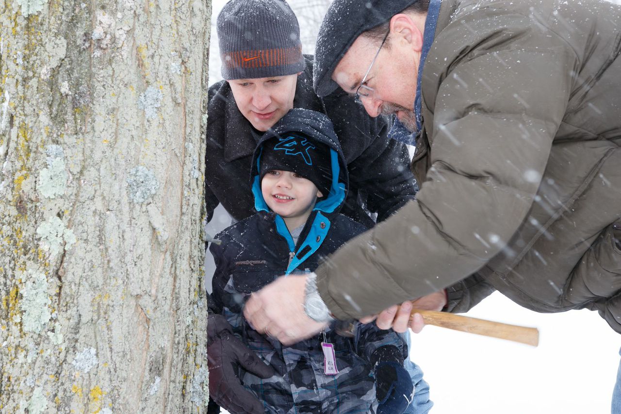 Frozen Sap Anyone? | Geauga County Maple Leaf
