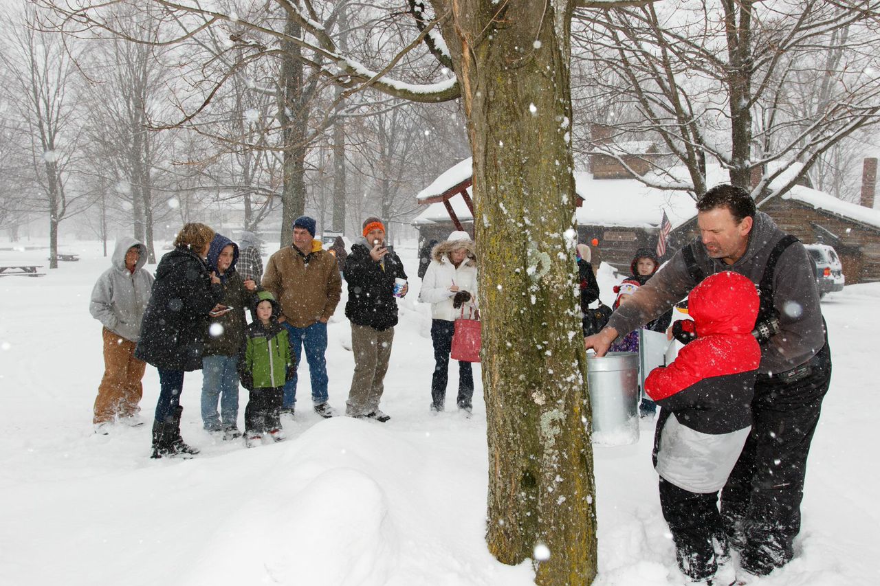 Frozen Sap Anyone? | Geauga County Maple Leaf