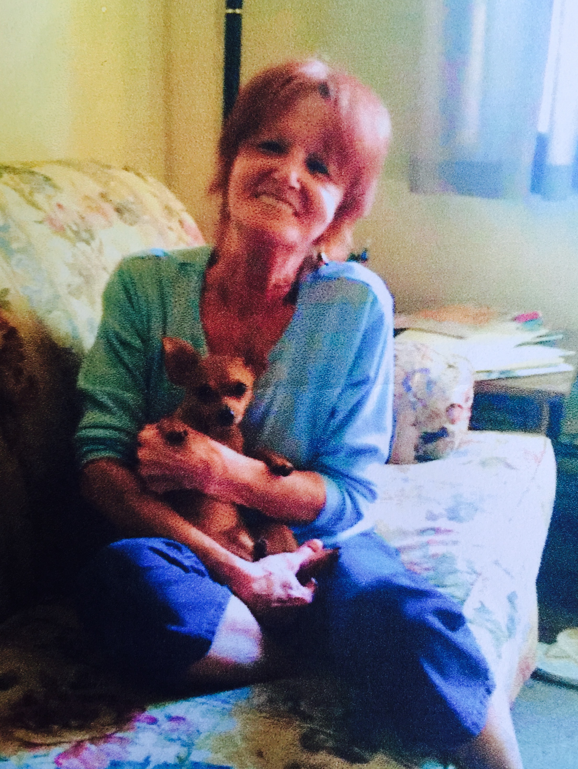 Carol Baltrus | Geauga County Maple LeafGeauga County Maple Leaf