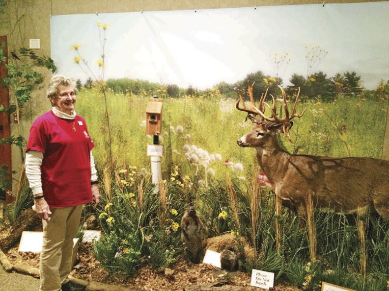 Nature Welcomes All Home with Interactive Exhibit | Geauga County Maple ...