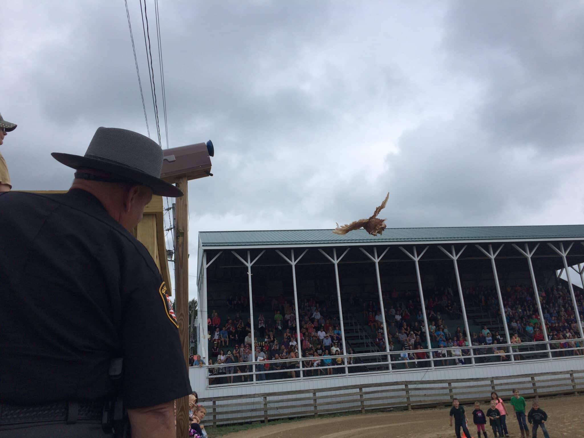 Feathers Fly at First Day of Fair | Geauga County Maple Leaf