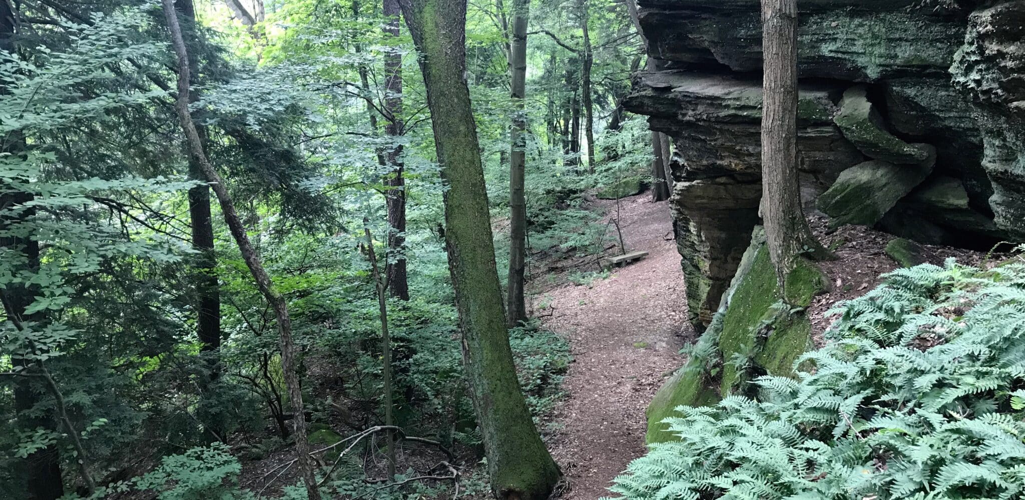 Analysis Paralysis Plagues Beneficiaries of Frances Spatz Leighton ...