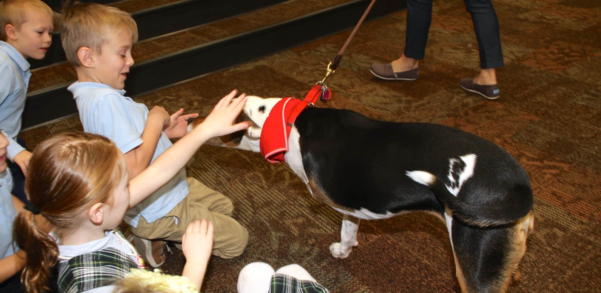 Geauga’s #1 Dog Teaches Lasting Life Lessons | Geauga County Maple Leaf