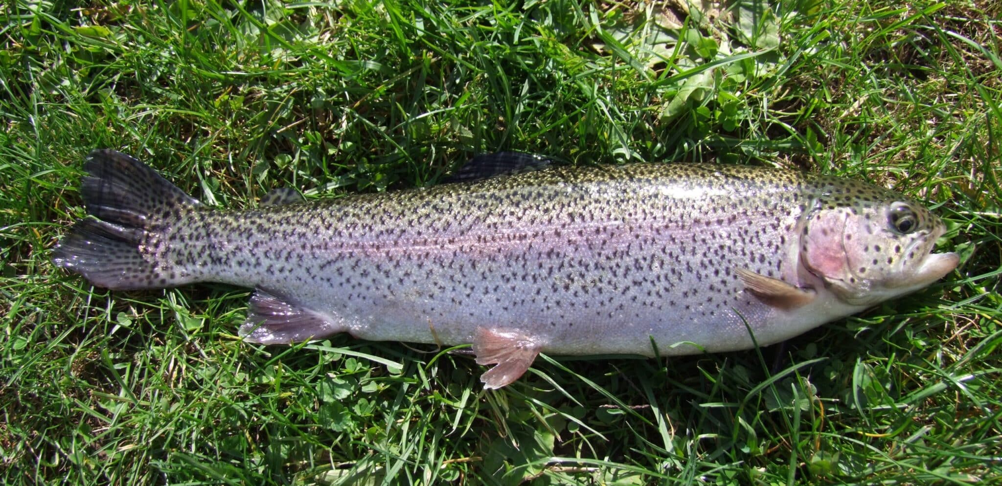 Partnerships Help Preserve Geauga County’s Natural Gems | Geauga County ...