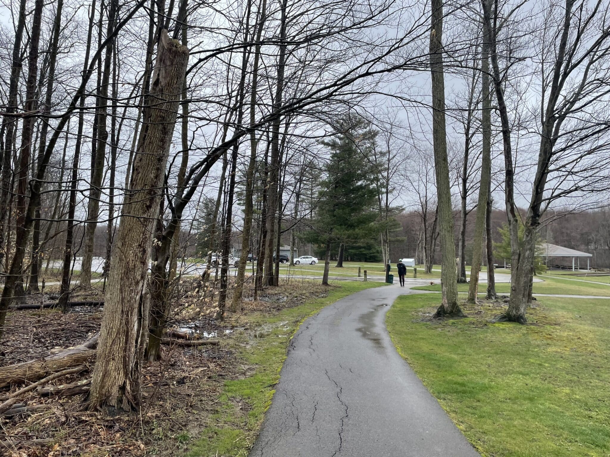 Earth Day Invites Community to Invest in Planet | Geauga County Maple Leaf