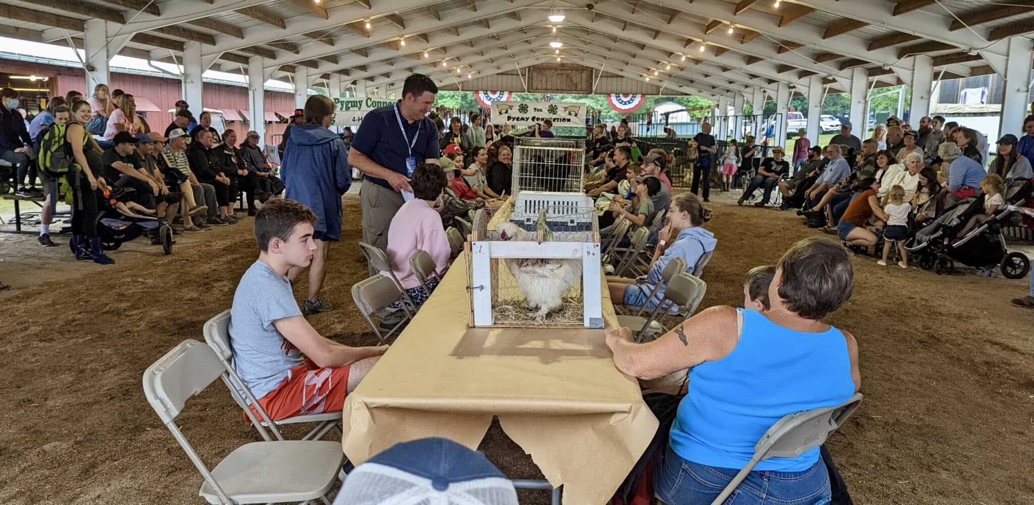 Rooster Crowing Contest Brings All the Joys of Dawn Breaking to Fair ...