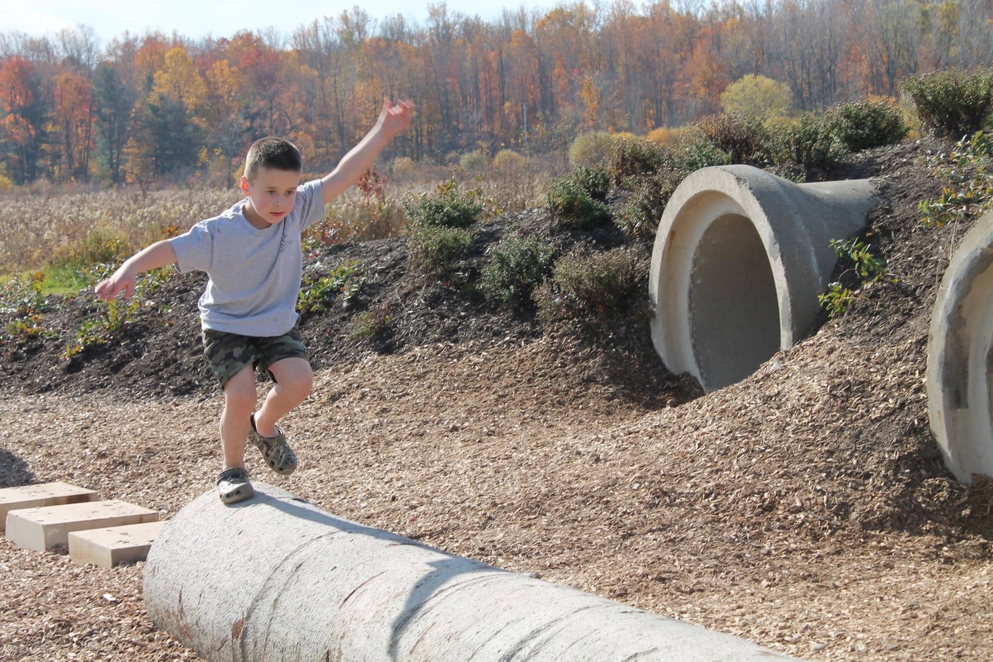 Geauga Park District’s Frohring Meadows Opens New Pollinator Garden ...