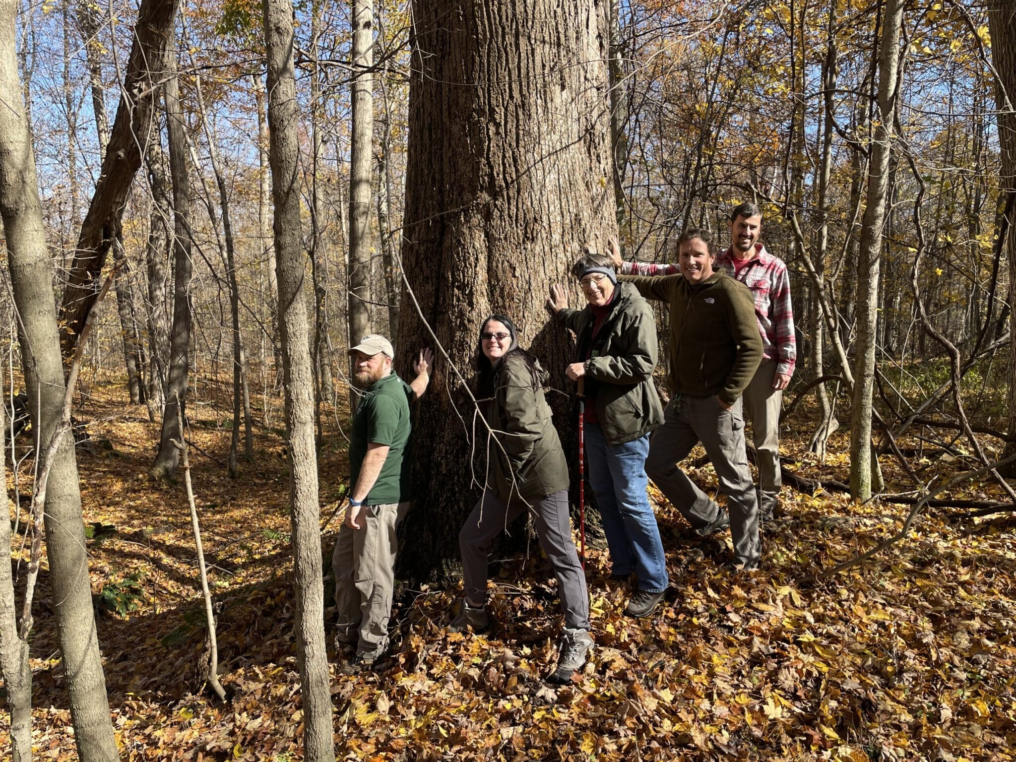 Soil & Water Conservation District Honors Tuliptree | Geauga County ...