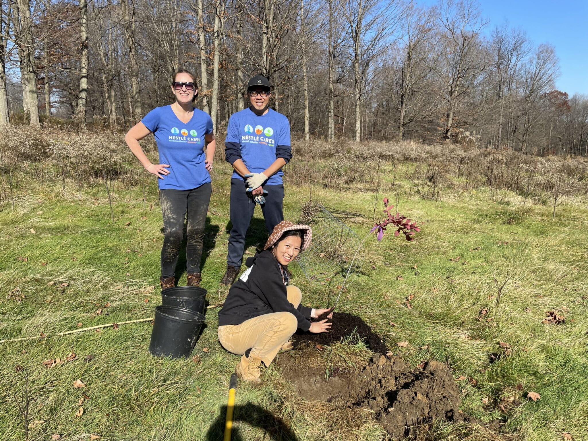 Volunteers Help Rewild Veterans Legacy Woods | Geauga County Maple Leaf