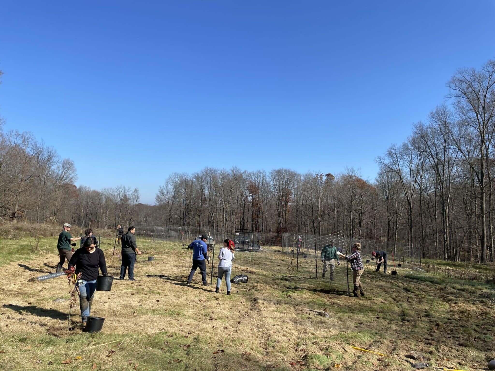 Volunteers Help Rewild Veterans Legacy Woods | Geauga County Maple Leaf