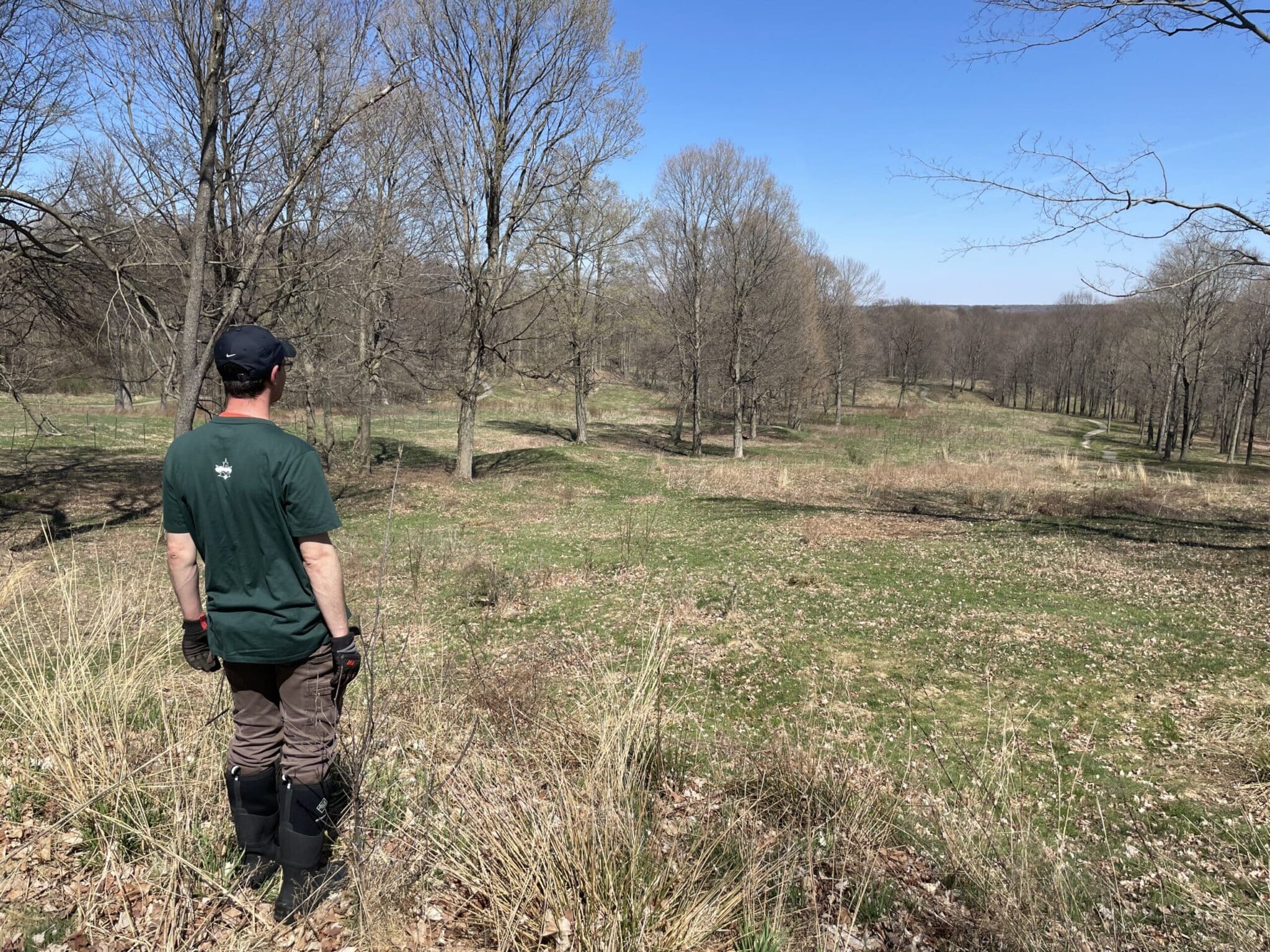 Park District Celebrates Earth Day with Reforestation Initiative ...