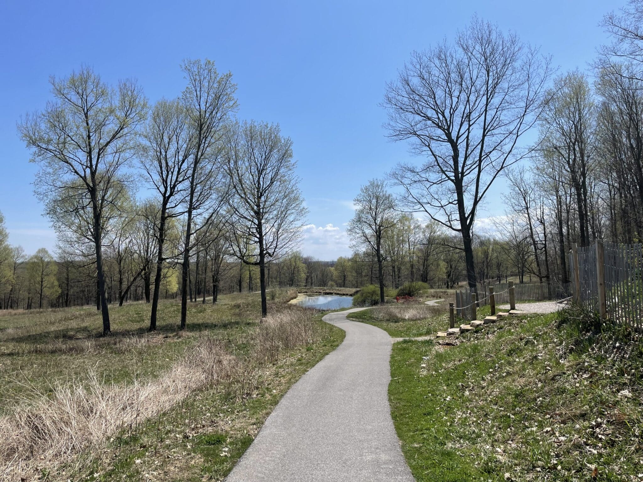 Park District Celebrates Earth Day with Reforestation Initiative ...