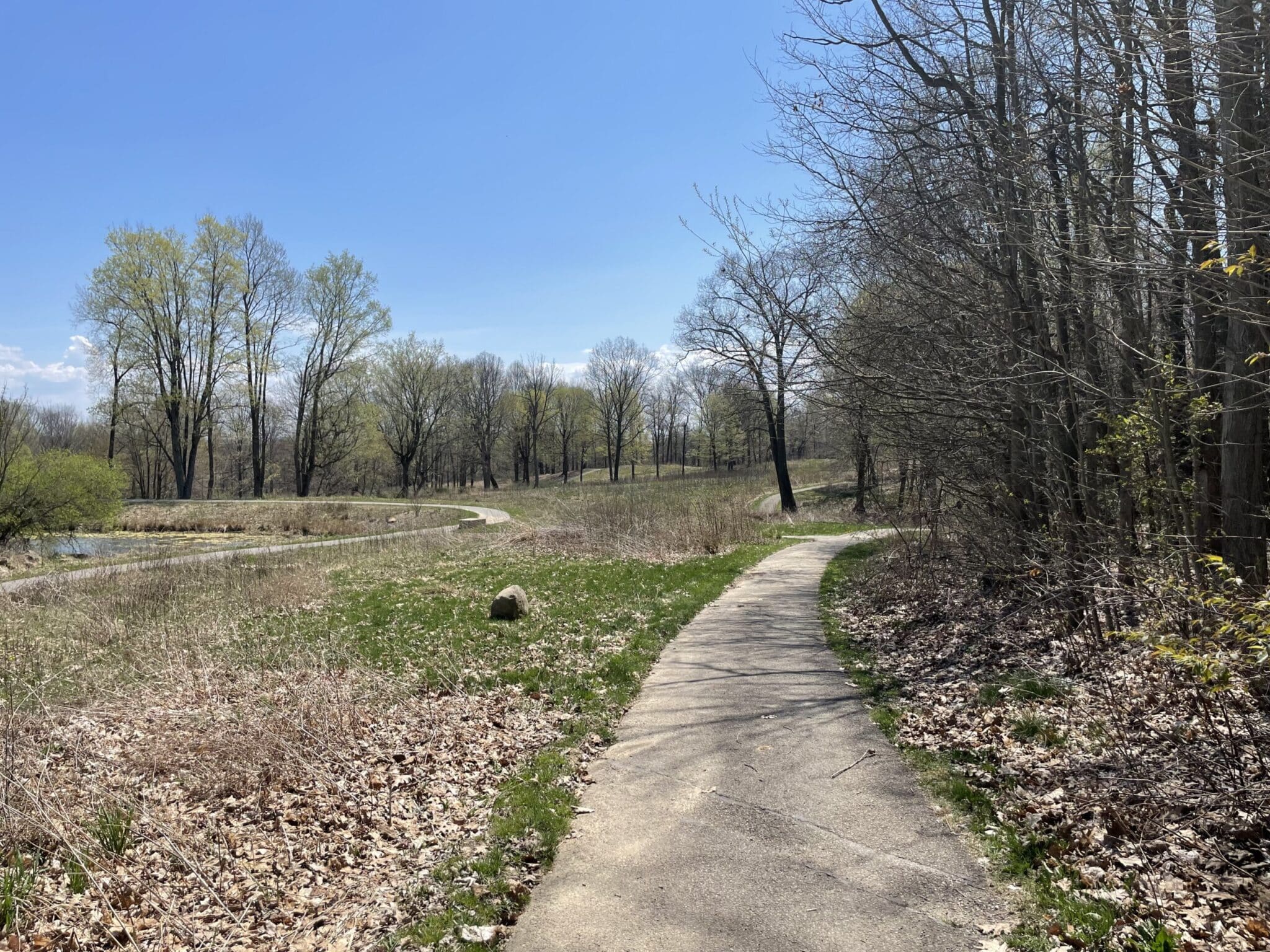 Park District Celebrates Earth Day with Reforestation Initiative ...