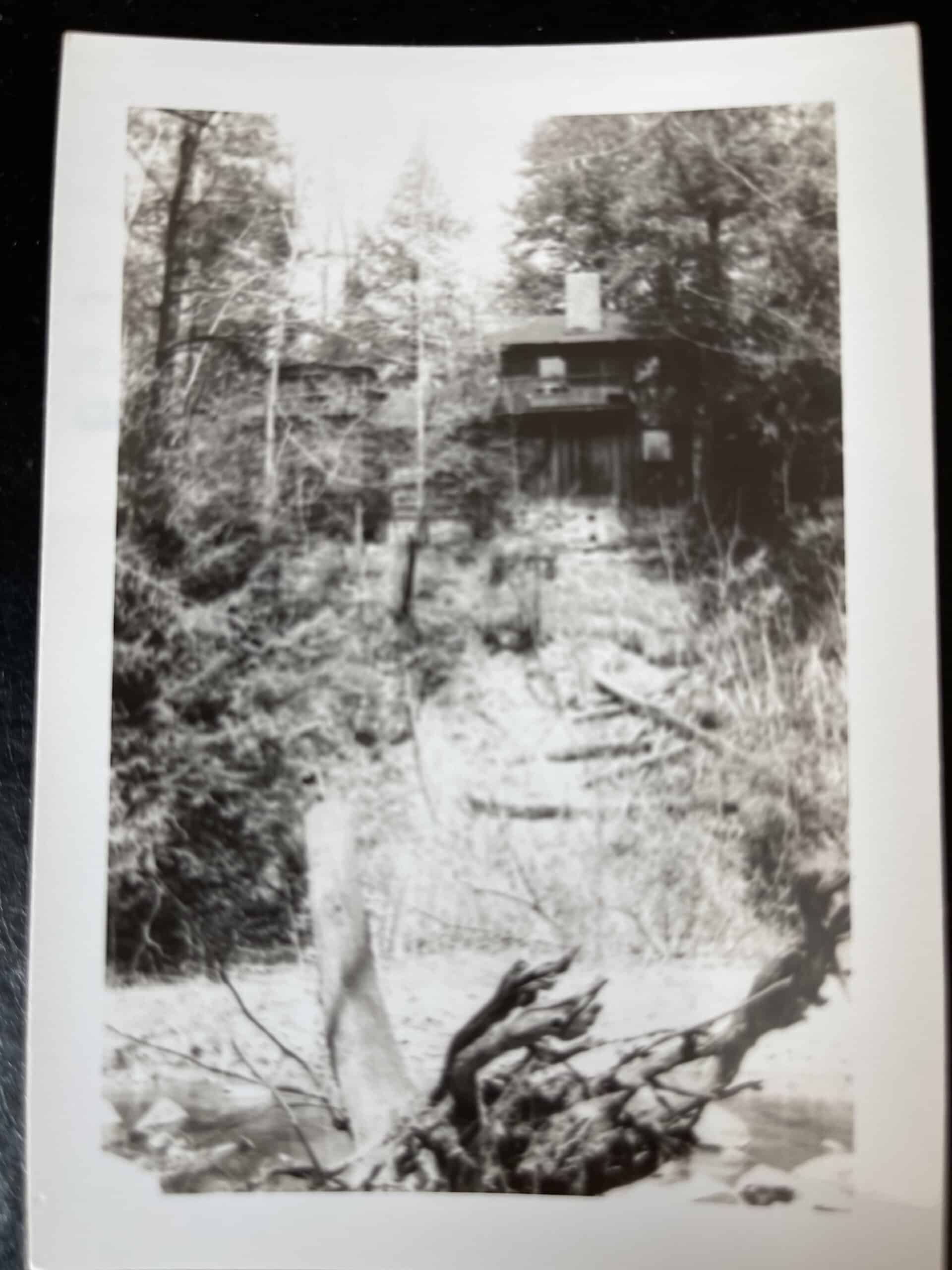 Revenge of The Melonheads: Urban Legend or Real Life Horror? (PART 2 ...