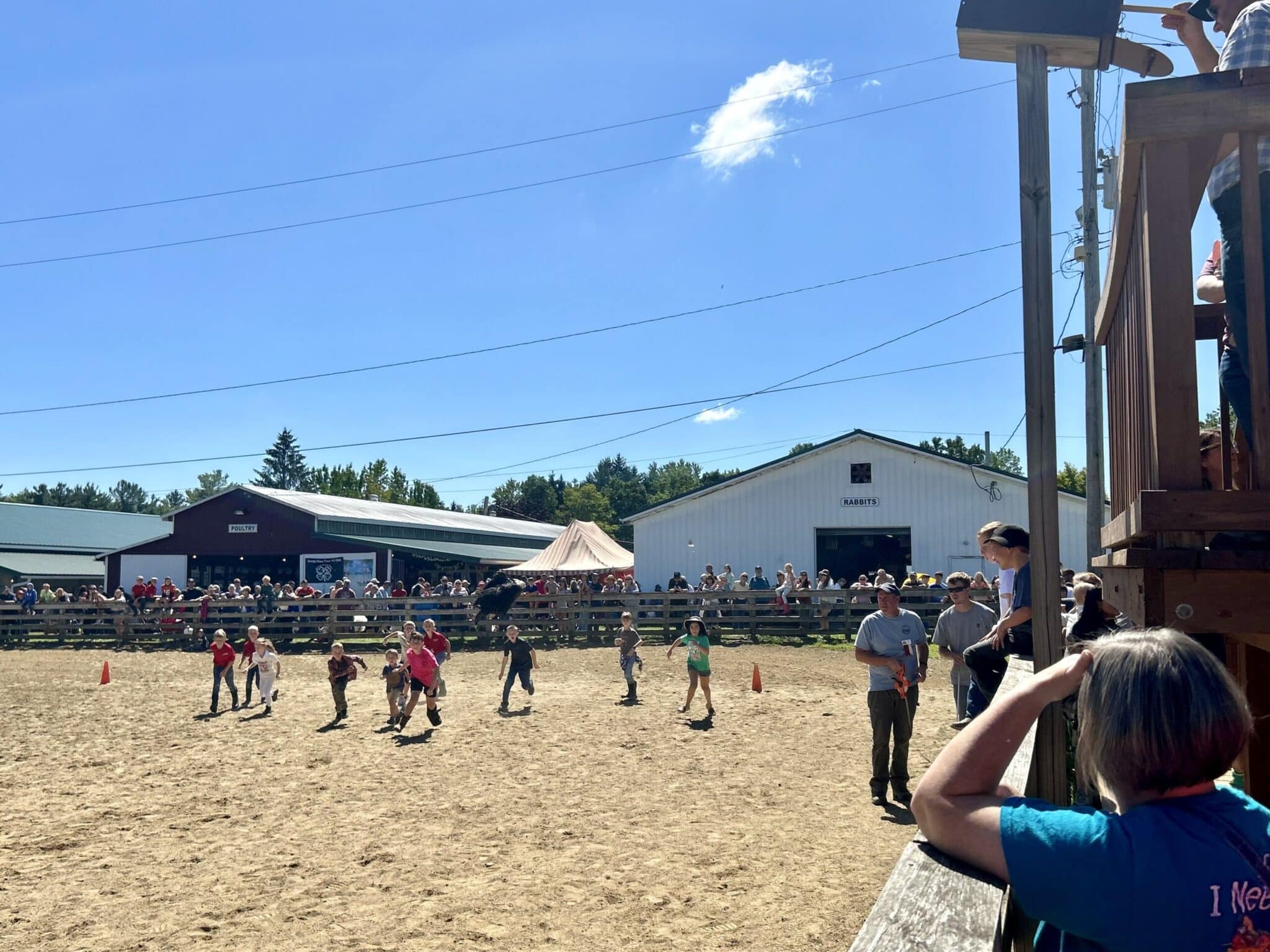 Kenston Defeats West G in Annual Chicken Fly Off | Geauga County Maple Leaf
