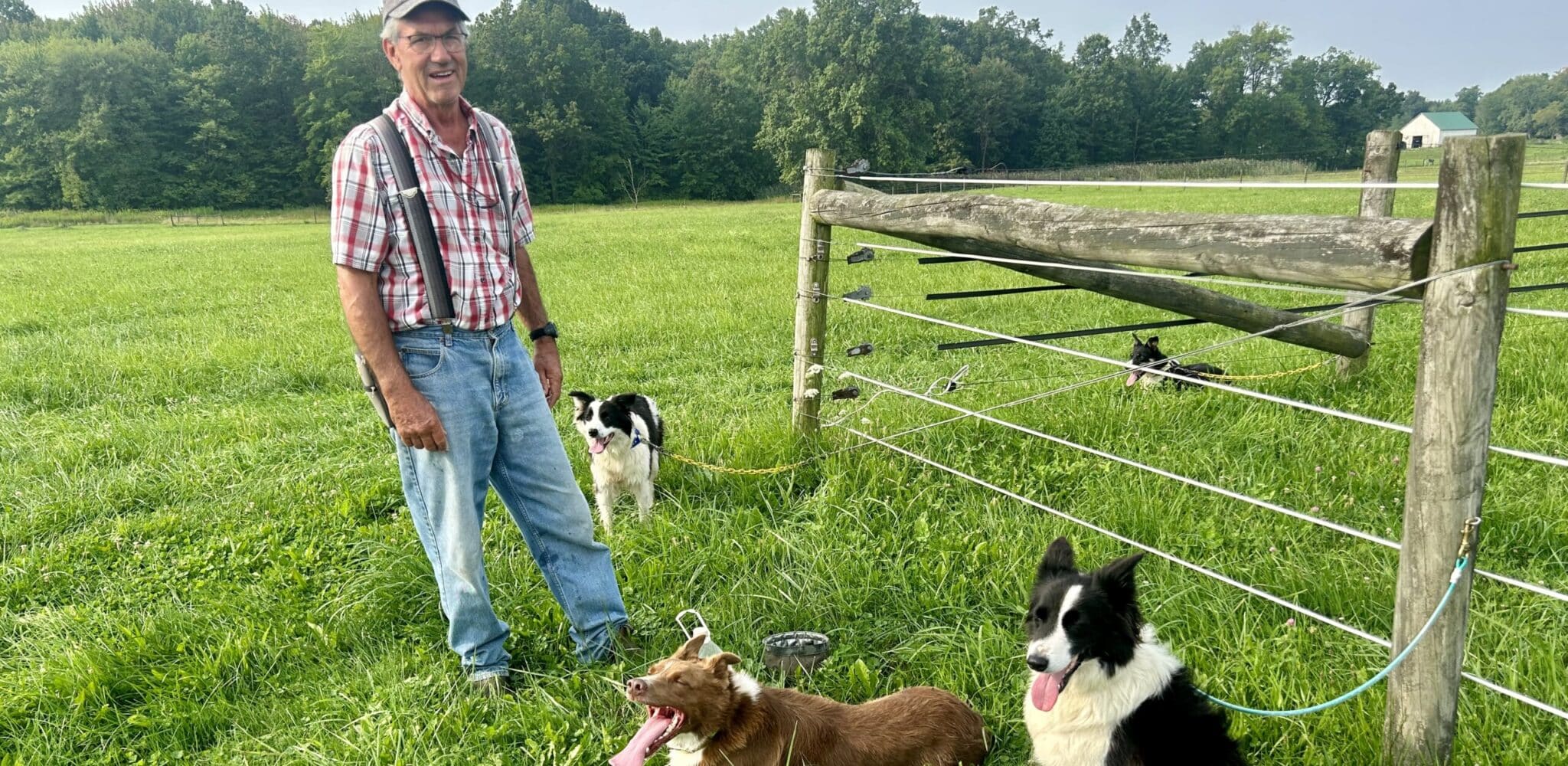 South Farm Hosting the Buckeye Sheep Dog Trial in October | Geauga ...