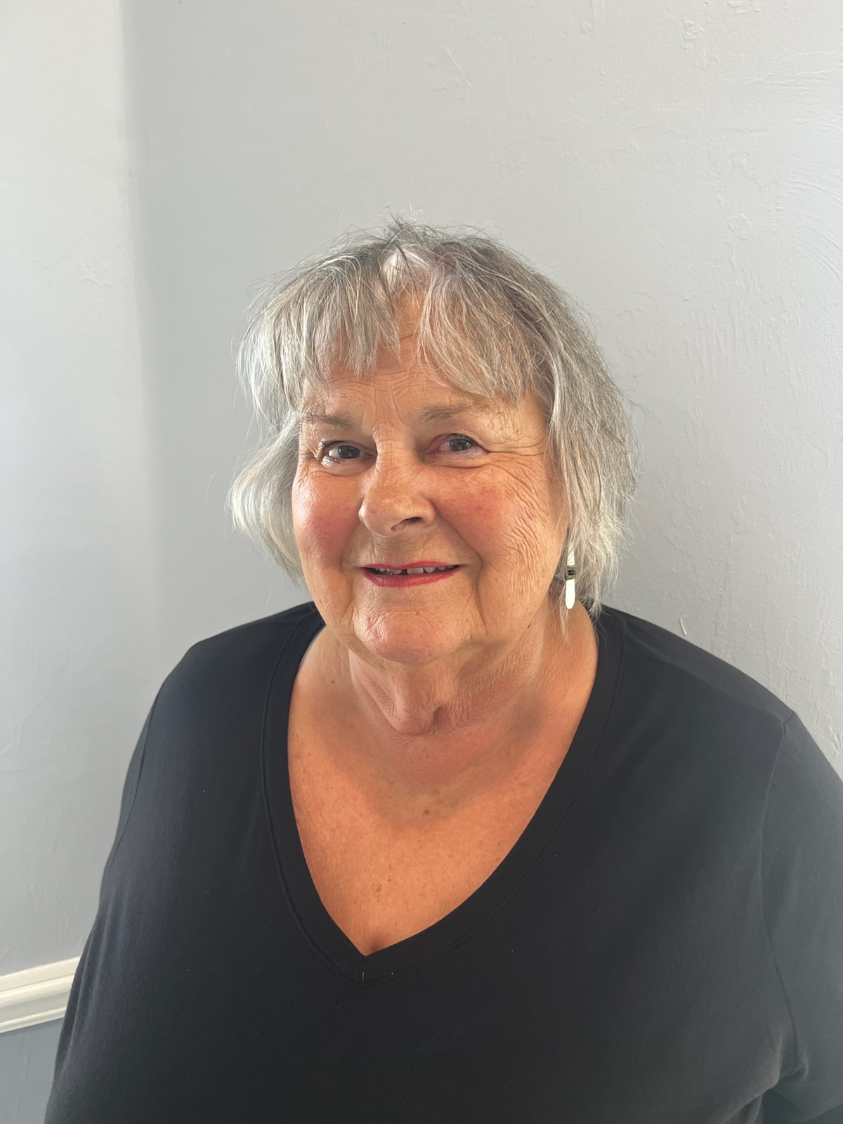 Leadership Geauga Taps 3 as 2025 Emerald Leaders | Geauga County Maple Leaf