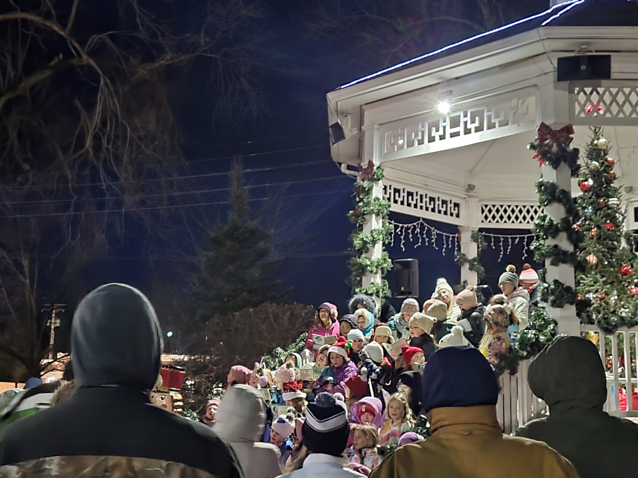 Chester Winterfest a Community Wonderland | Geauga County Maple Leaf