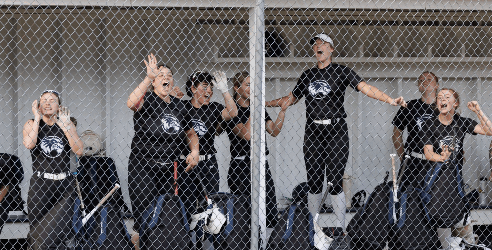 Wolverines Show Mettle in Walkoff Win Over Falcons | Geauga County ...