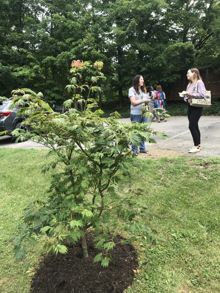 Tree Plants Hope for Addiction Recovery in Chardon | Geauga County ...