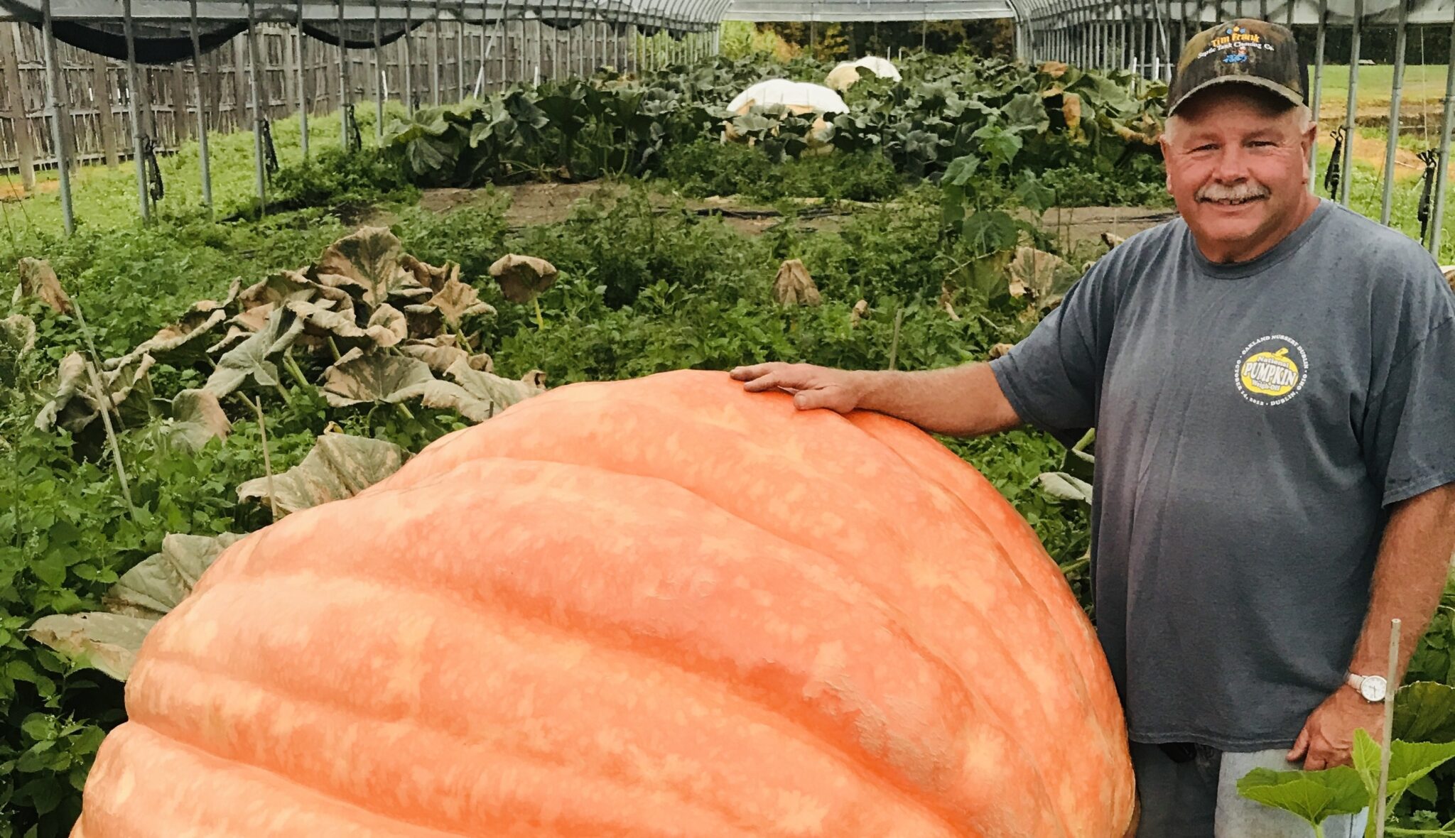 Pumpkins Will Roll … | Geauga County Maple LeafGeauga County Maple Leaf