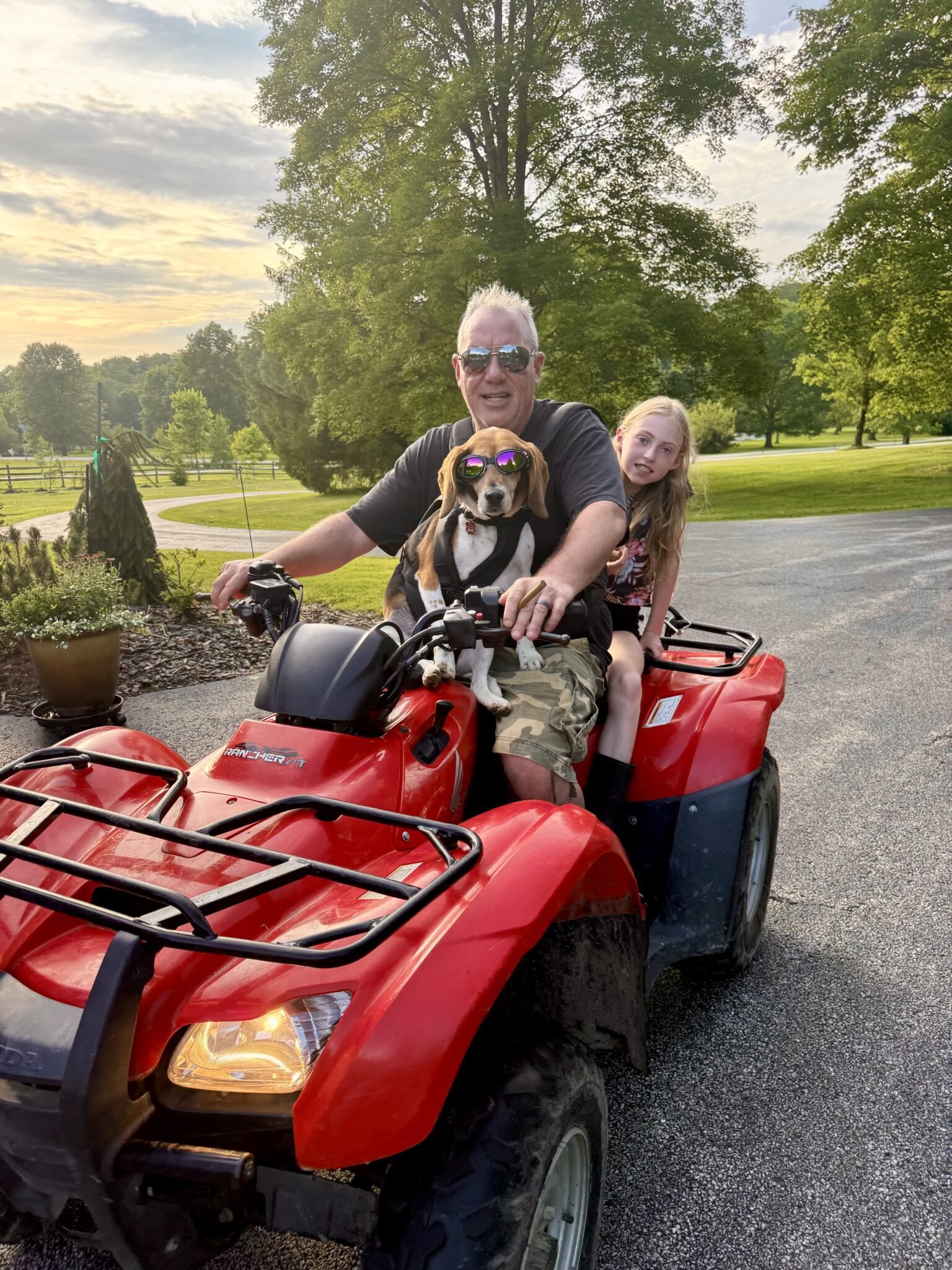 Beagle Chester Wins #1 Dog Contest | Geauga County Maple Leaf