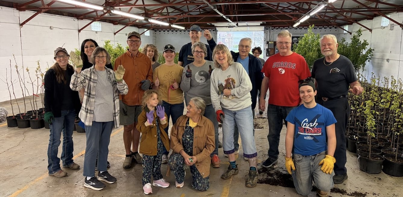 More Trees, Please! | Geauga County Maple Leaf
